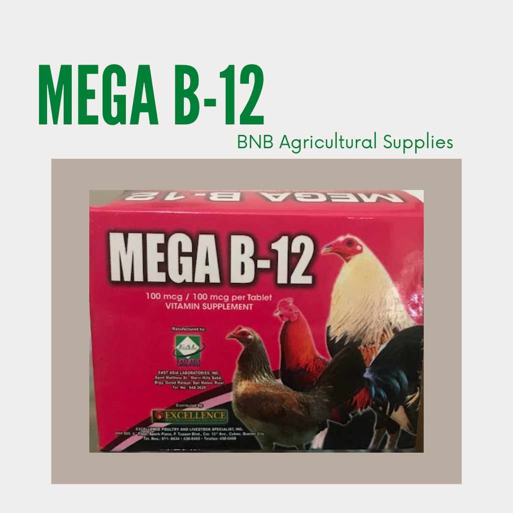 Mega B-12 Excellence Available per 10 Tablets | Shopee Philippines