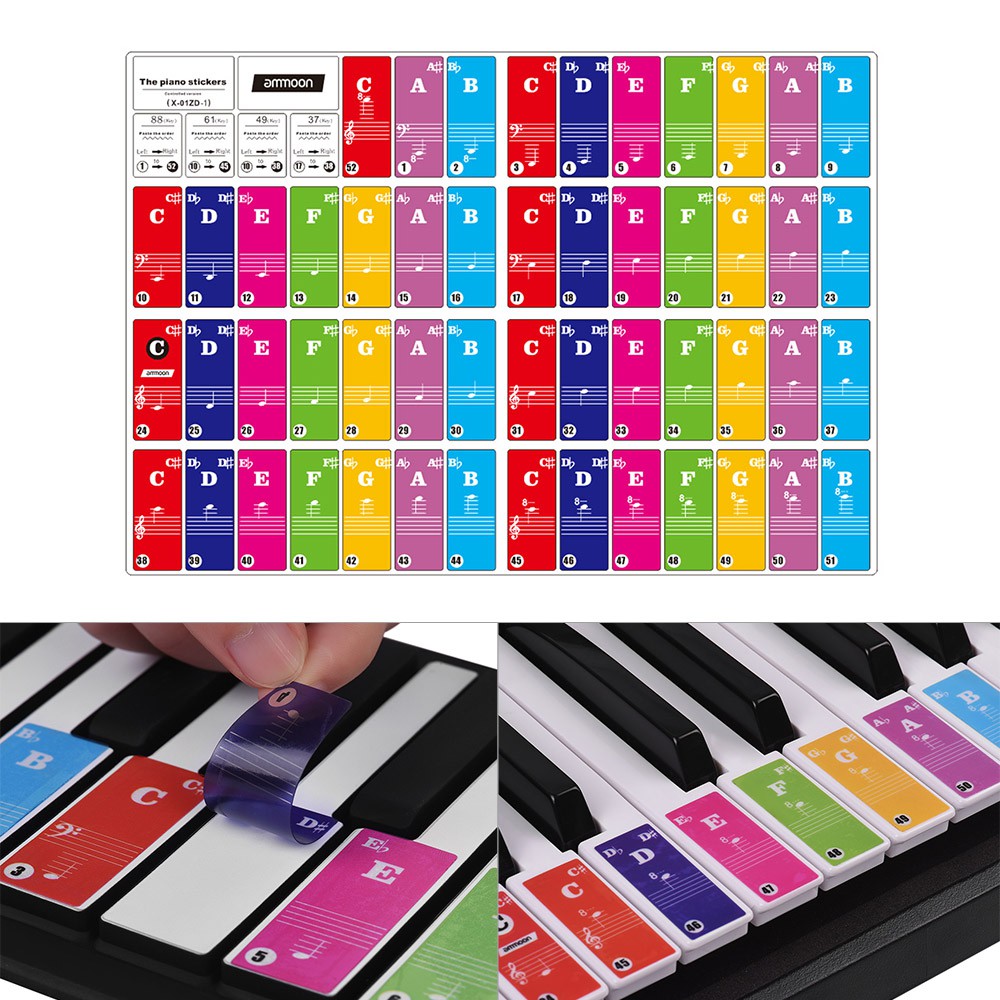 ammoon Piano Keyboard Stickers for 37/ 49/ 61/ 88 Key Keyboards ...