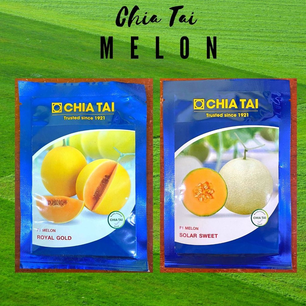 Chia Tai MELON 10g Seeds | Shopee Philippines