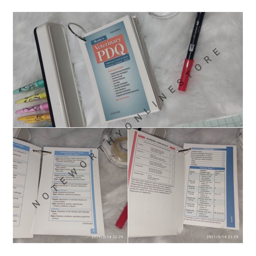 Veterinary VetMed Mosby's Veterinary PDQ Practical, Detail, Quick ...