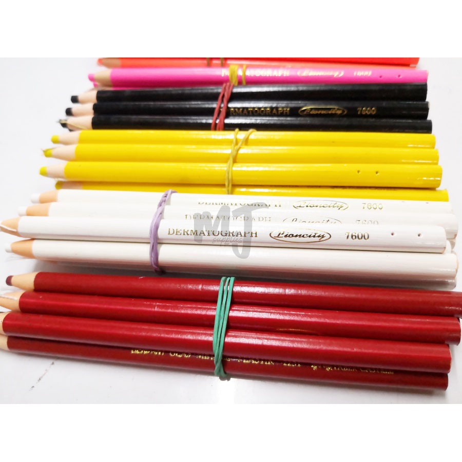 3 PCS. Lion city Dermatograph Highlight Colored Pens | Shopee Philippines