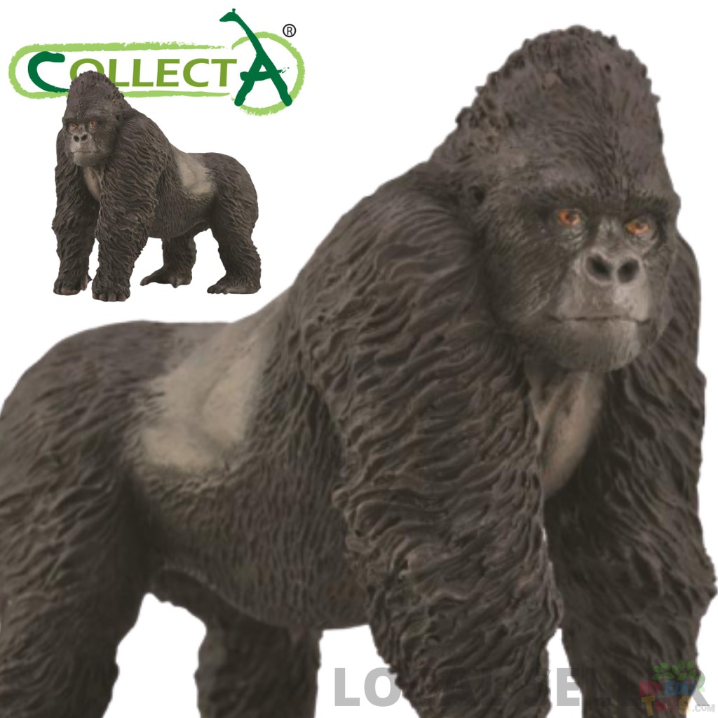 Mountain Gorilla - CollectA 88899 Wild Life Animal Action Figures ...