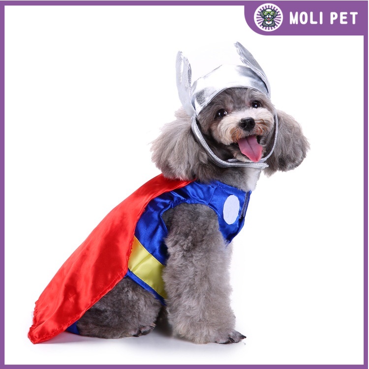 MOLI Dog Clothes Thor King Kong Halloween Christmas Pet Transformation ...