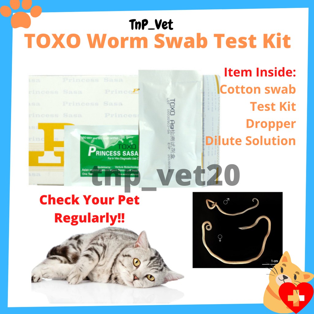 Pet Dog Cat TOXO Worm Test Kit Toxoplasmosis Worm Detection Ujian ...