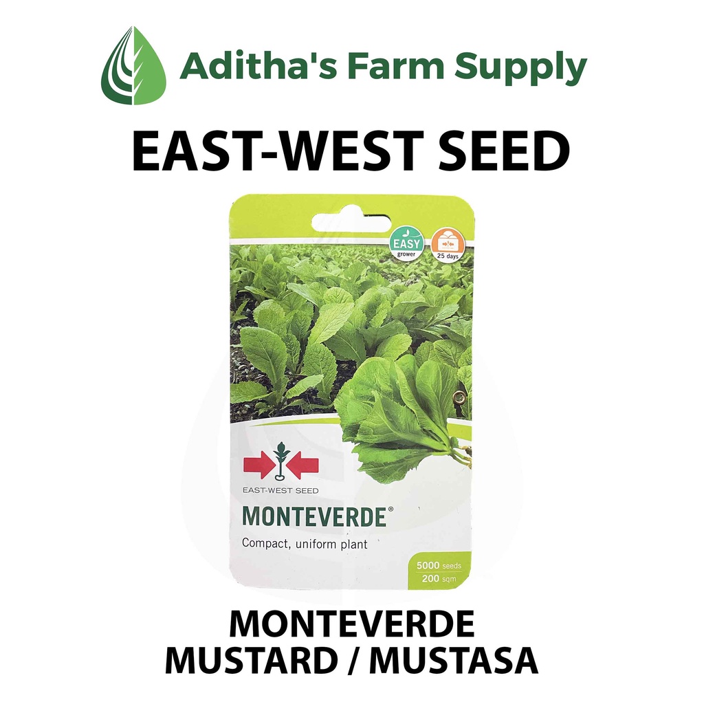 AFS East-West Seed: Monteverde (Mustard/Mustasa) 5000 seeds | Shopee ...