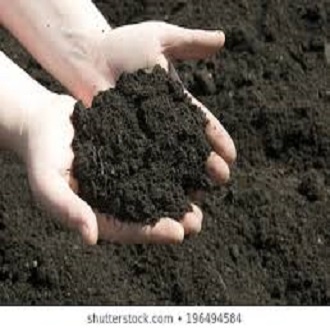 Quality Mix Loam Soil with Organic fertilizer 1KILO per pack for your ...