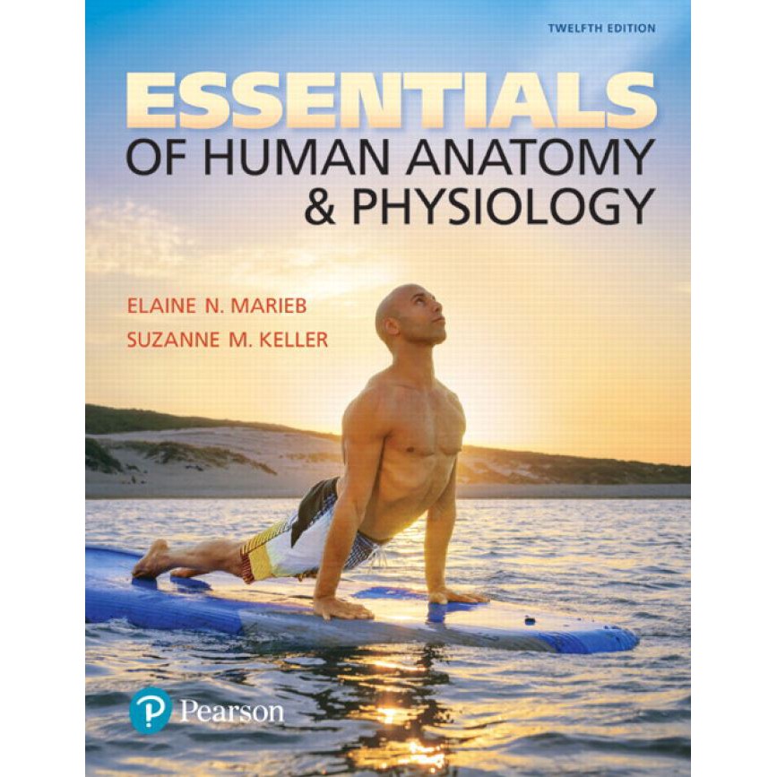 marieb-s-essentials-of-human-anatomy-and-physiology-12th-edition