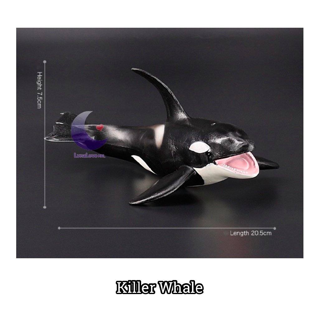 Killer Whale | Toy Animal | Science | Children’s Toy | Shopee Philippines