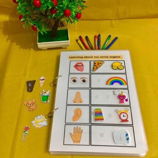 My Sense organs/ Five Senses Detachable (Adhesive dots) Fully Laminated ...