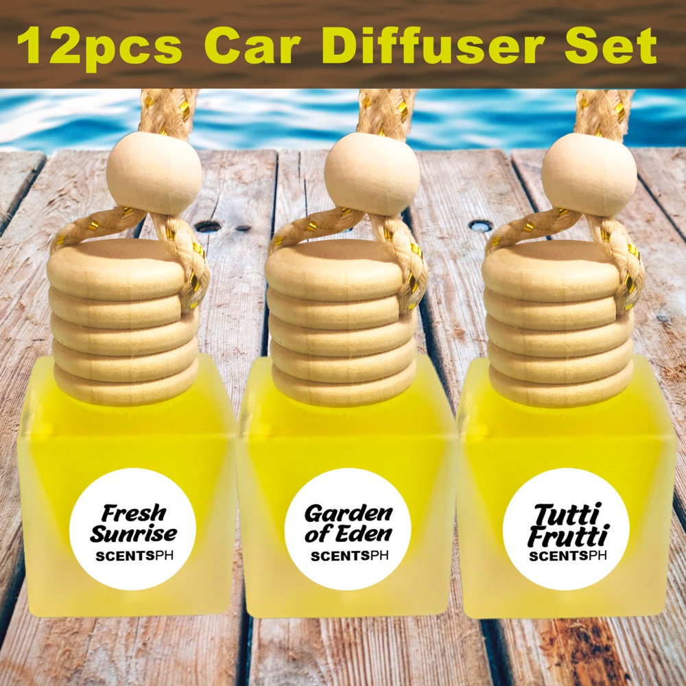 12 Pcs Car Diffuser Set | Shopee Philippines