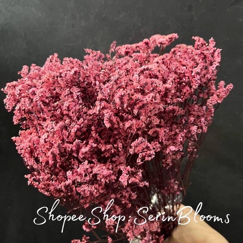 Caspia Real Dried Preserved Flowers | Shopee Philippines