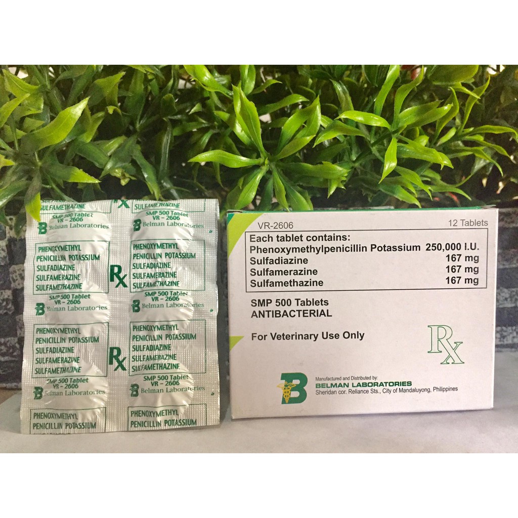 SMP 500 tablets antibacterial (12 tablets) | Shopee Philippines