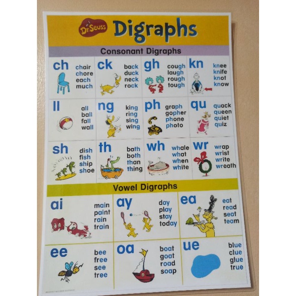 Laminated Educational Charts (vowels,ending blends,digraphs,consonants,beginning blends ...
