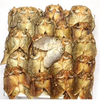 danggit - Best Prices and Online Promos - Feb 2024 | Shopee Philippines