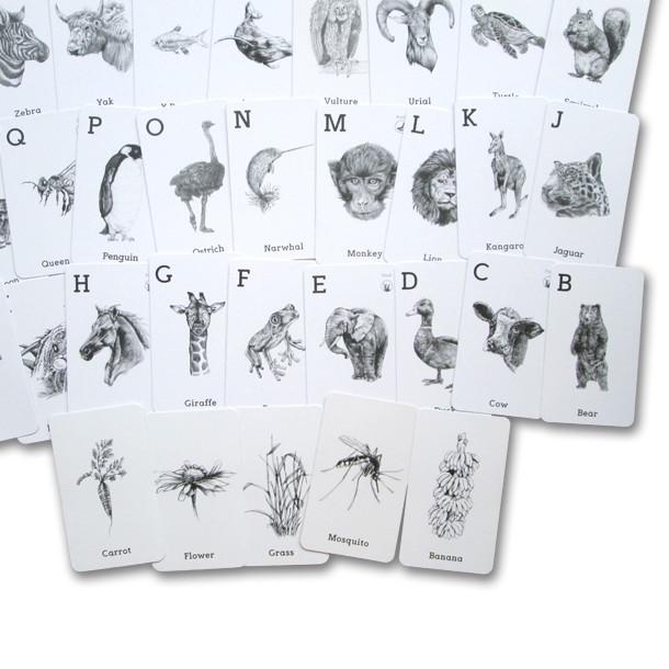 4D+ Animal Alphabet & Animals Food Flashcard (with 4D+ AR animation ...
