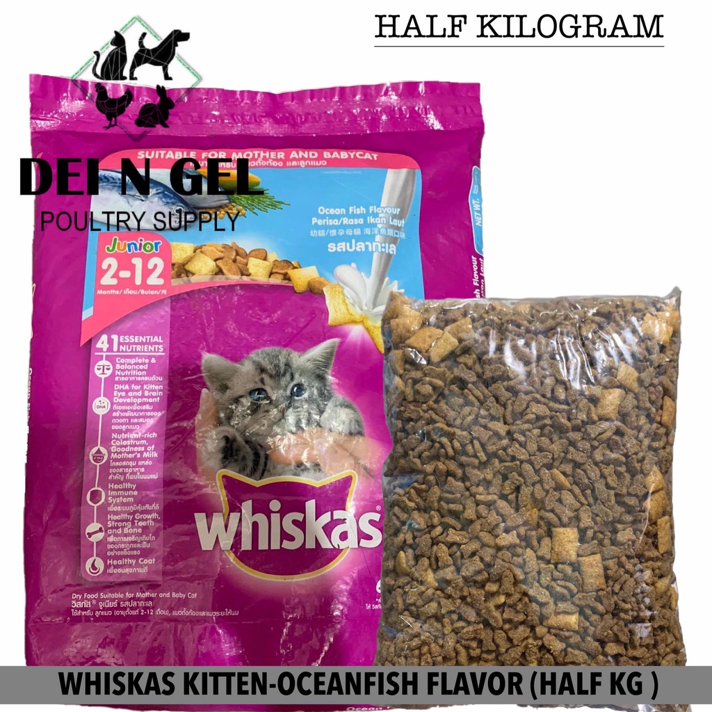 WHISKAS 2-12 MONTHS KITTEN - OCEAN FISH FLAVOR (HALF KILO) | Shopee ...