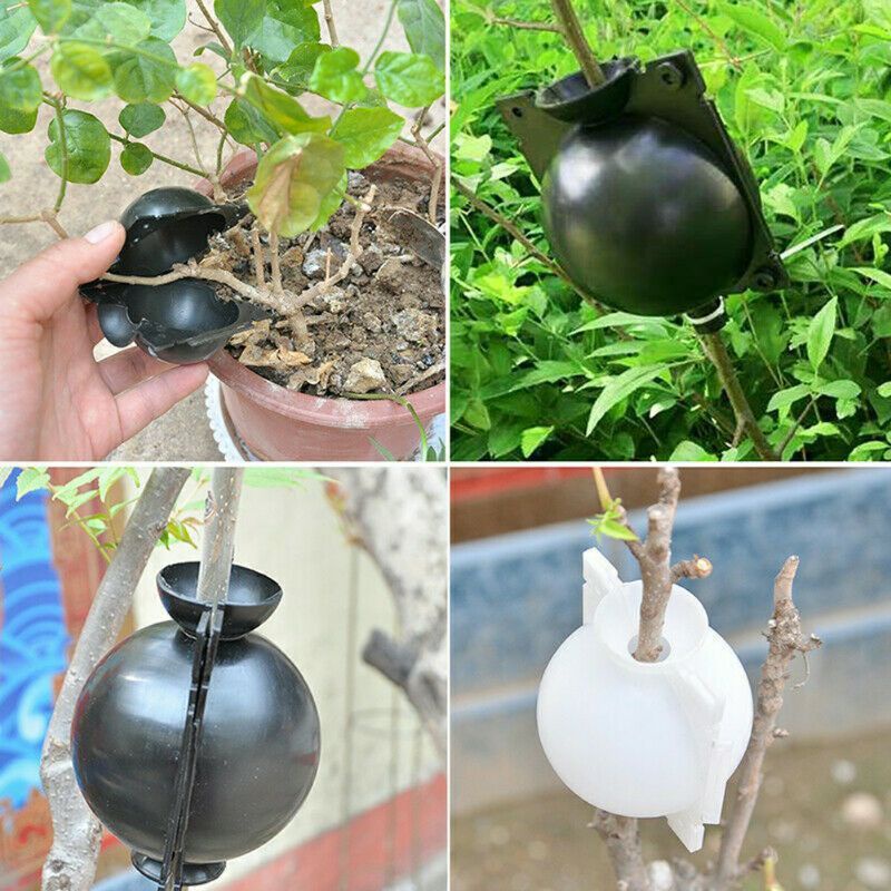 Plant rooting device high pressure propagation ball high pressure box ...