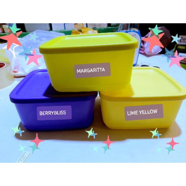 Sale!Sale!Tupperware Small Square Rounds, 650ml | Shopee Philippines
