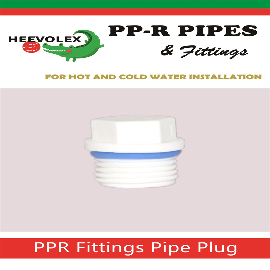 HEEVOLEX PPR Fittings Pipe End Plug 20-32mm | Shopee Philippines