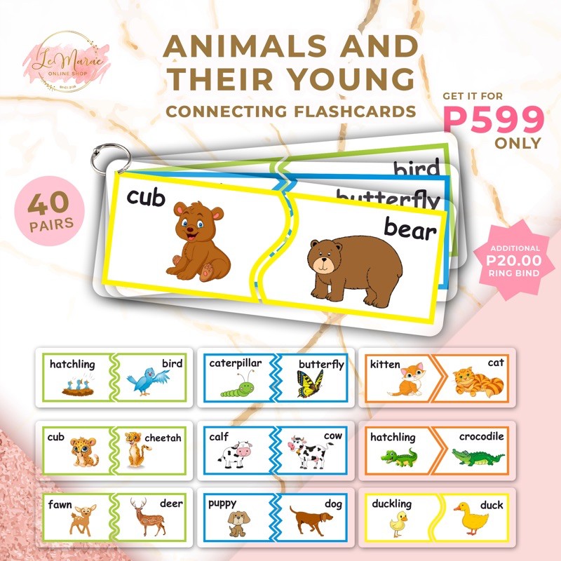 Laminated Connecting Flashcards ANIMALS and THEIR YOUNG Animals ...