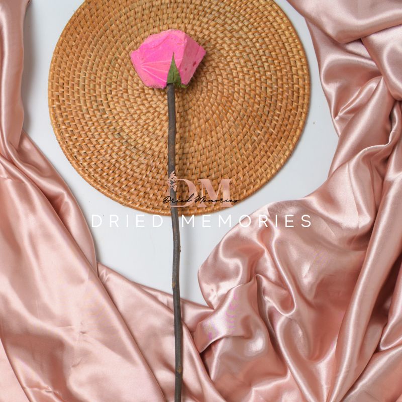 Dried FOSSILIZED Flowers (1 piece) Real Roses Gift Wedding Party Home ...