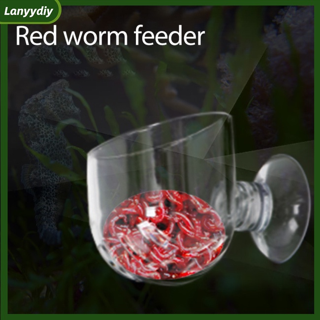 gd Transparent Glass Fish Feeder Feeding Food Red Worm Cup With Strong ...