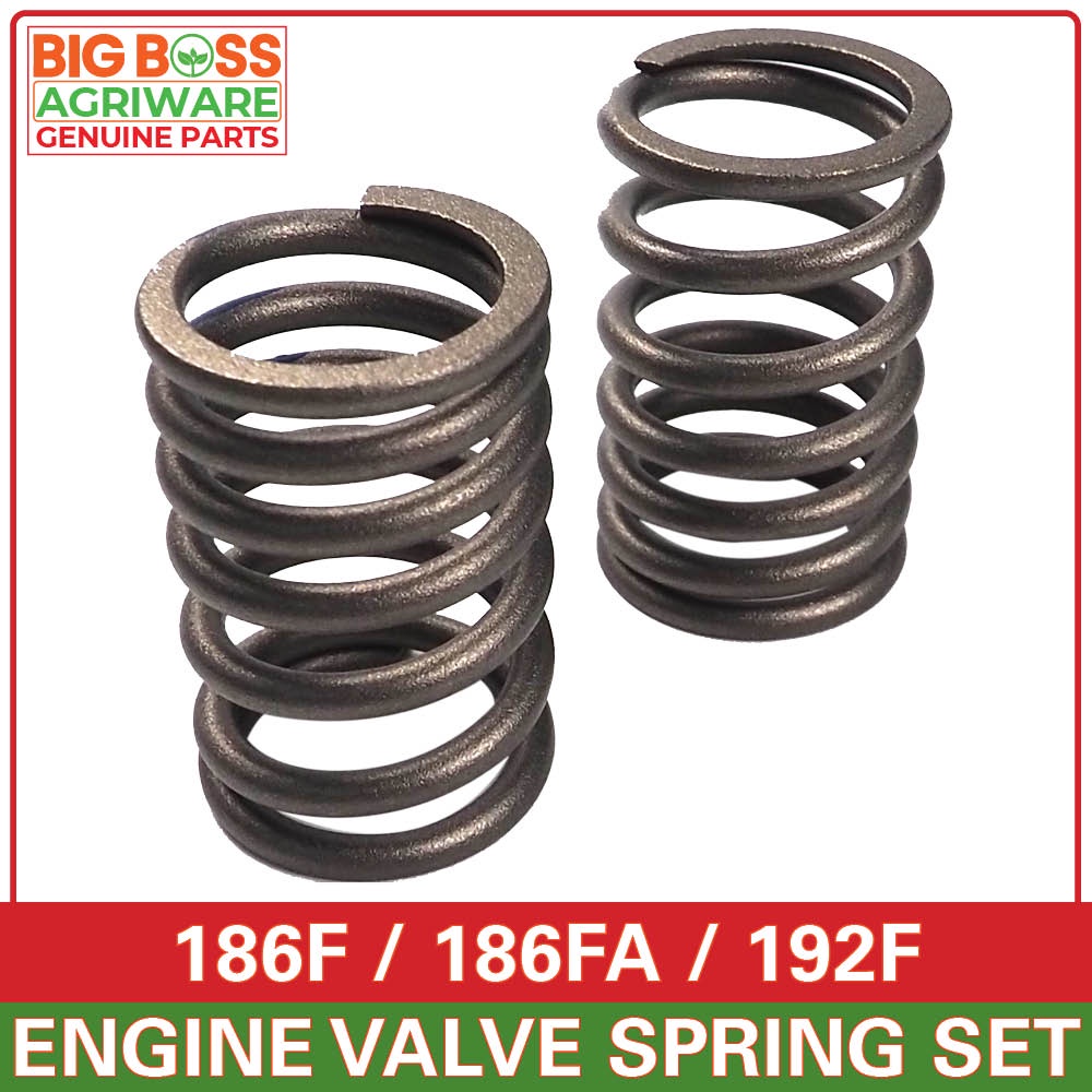 BBA Engine Valve Spring Set (2 pcs) 186F (10hp), 186FA (12hp), 192F ...