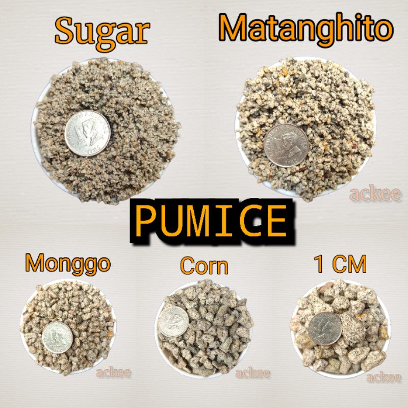 PUMICE (CORN, SUGAR, 1CM, MONGGO, MATANGHITO) | Shopee Philippines