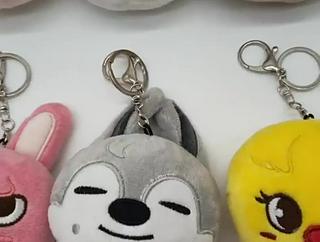 Kpop Stray Kids SKZOO Wolf Chan PuppyM BbokAri Mini Plush Toy Keychain ...
