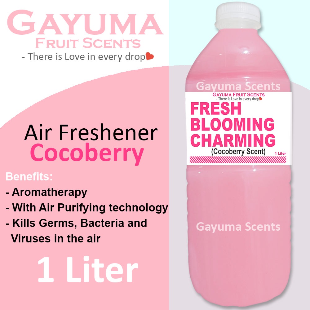 Gayuma COCOBERRY 1 Liter Premium Hotel Scents for Humidifier Diffuser ...