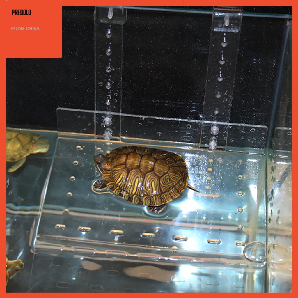 In Stock Hanging Hook Clear Acylic Turtle Ramp Shelf - Tortoise Basking ...