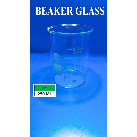 Beaker Glass 250ml Laboratory Supplies Shopee Philippines