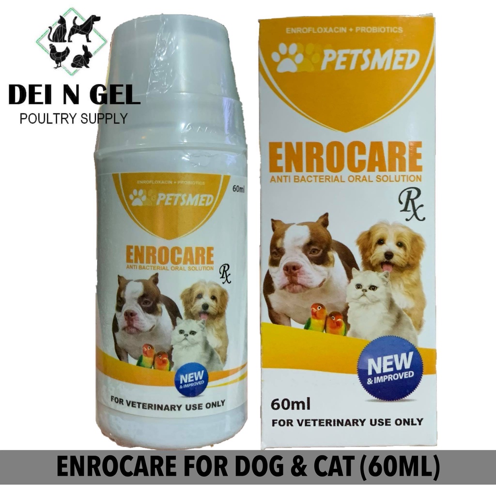 PETSMED ENROCARE ENRO CARE ORAL SOLUTION WITH PROBIOTICS FOR DOG AND ...