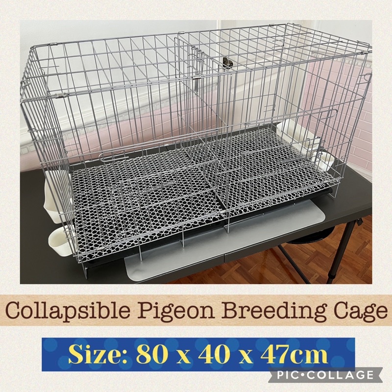 Premium Metal Collapsible Breeding Cage Pets Pigeon Birds Removable ...