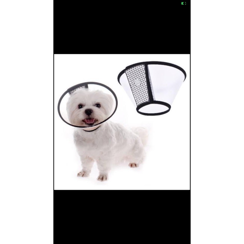 S cone collar anti biting,healing wound,(dog & cat protective) | Shopee ...