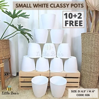 Shop pot for Sale on Shopee Philippines