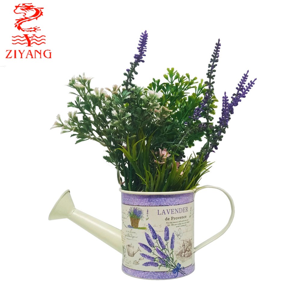 Ziyang Metal Watering Pot Design Flower Vase (9cm)Garden Pots ...