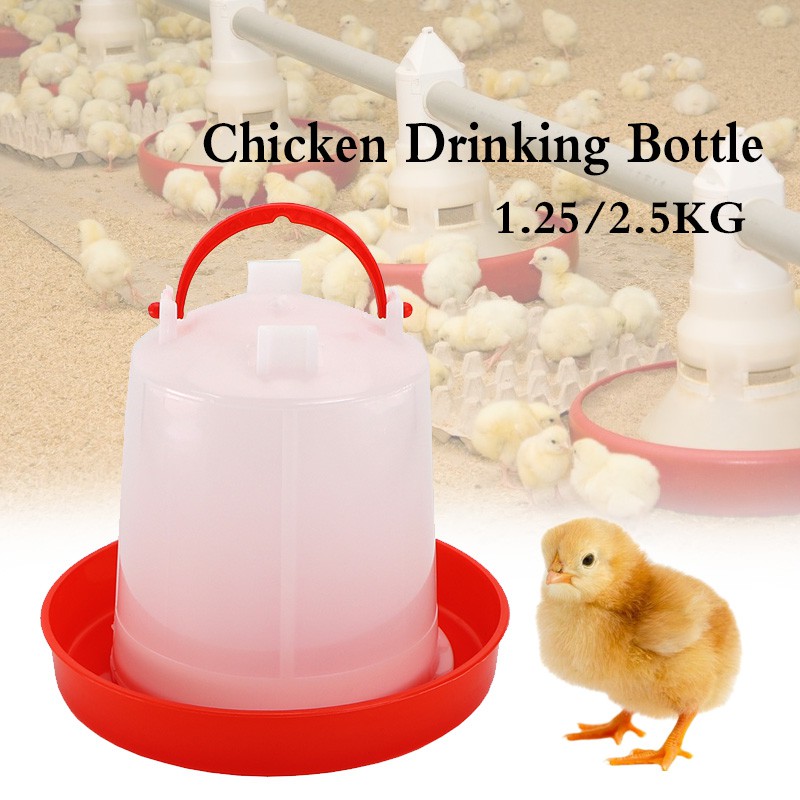 1.5/2.5L Poultry Drinker Chick Hen Chicken Water Bucket Drinking ...