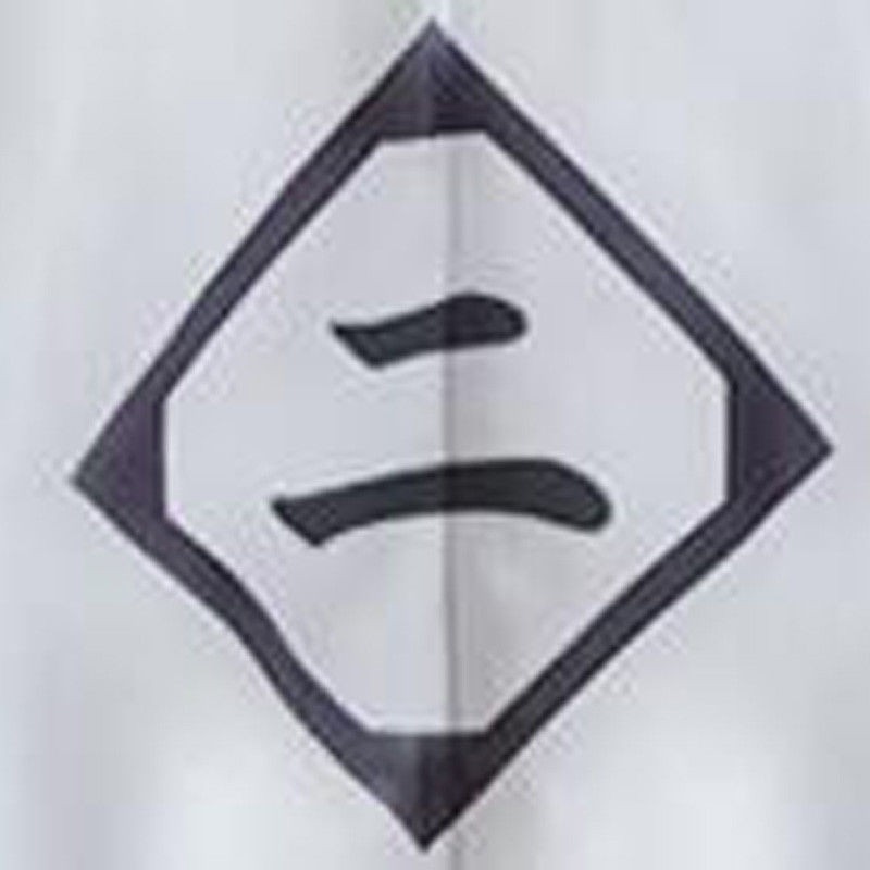 BLEACH White Haori Cosplay Costume From 1st to 13th Division Captain ...