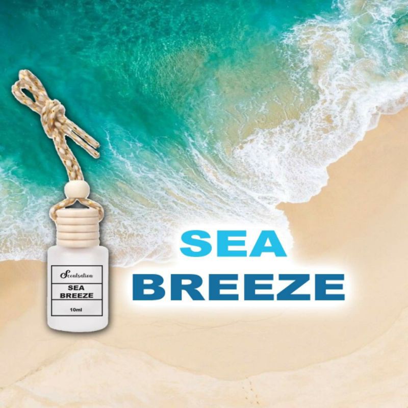 Hanging Diffuser SEA BREEZE SCENT 10ml | Shopee Philippines
