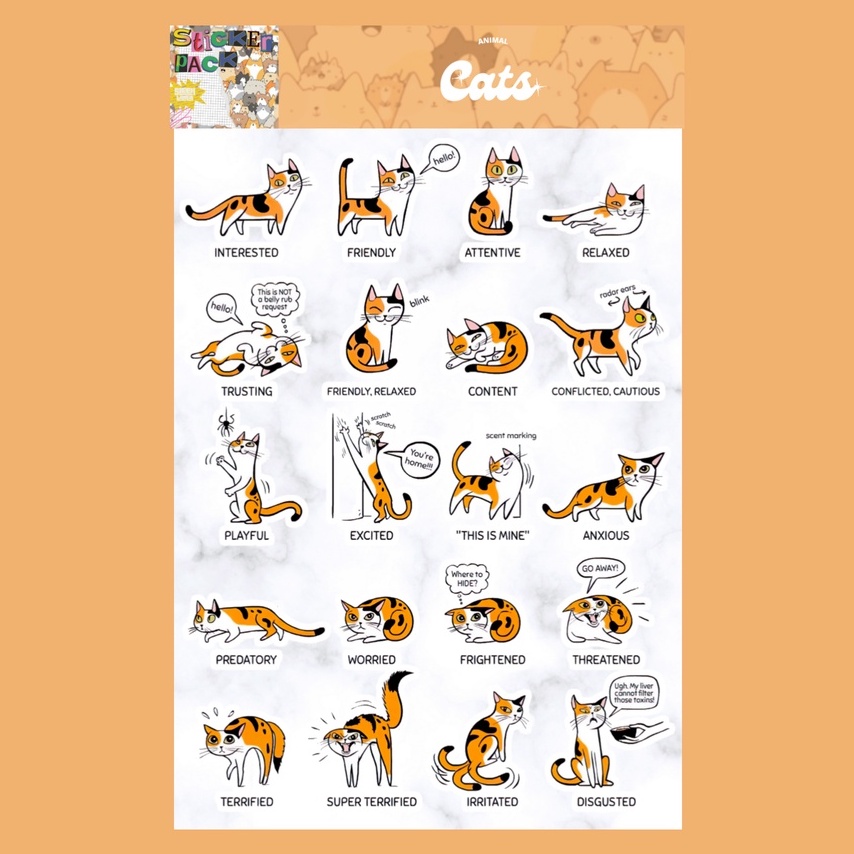 Cats Sticker Sheet** | Shopee Philippines