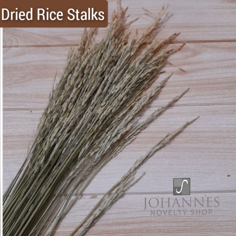 Dried Flower | Rice Stalk | Palay Bunch | Shopee Philippines