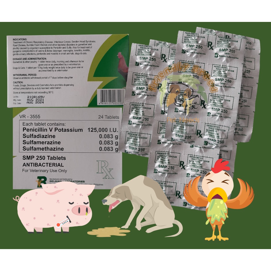 SMP 500 antibacterial for dogs swine goats calves cocks petcare ...