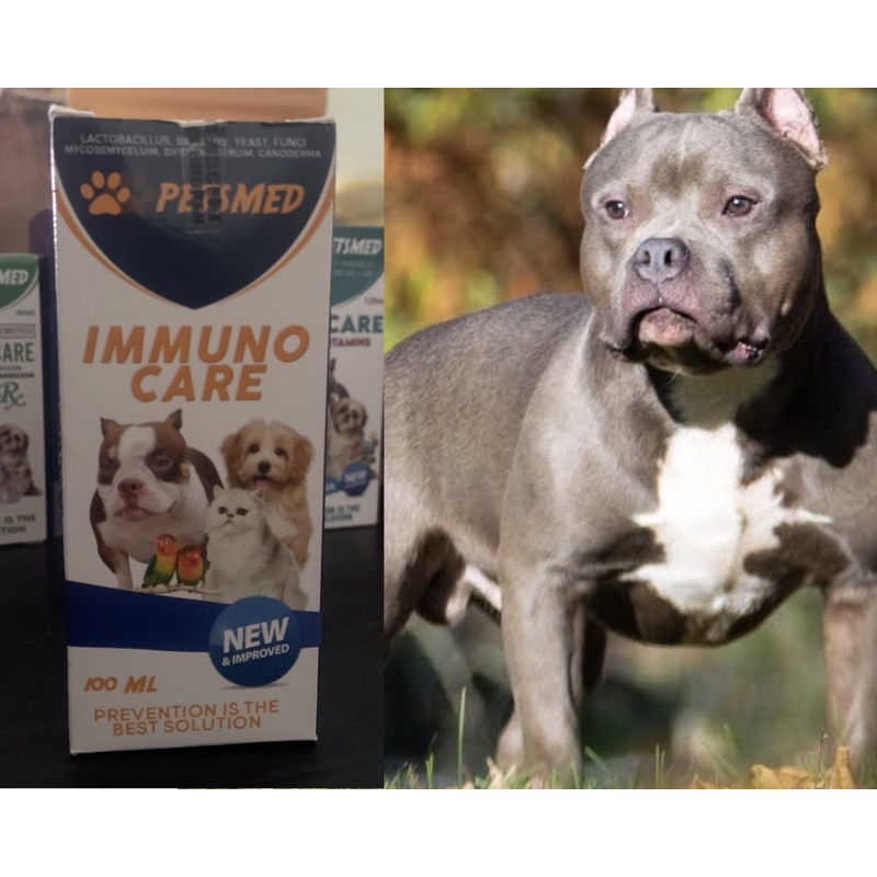IMMUNO CARE 100ml ( Dog, Cat, Bird,) | Shopee Philippines