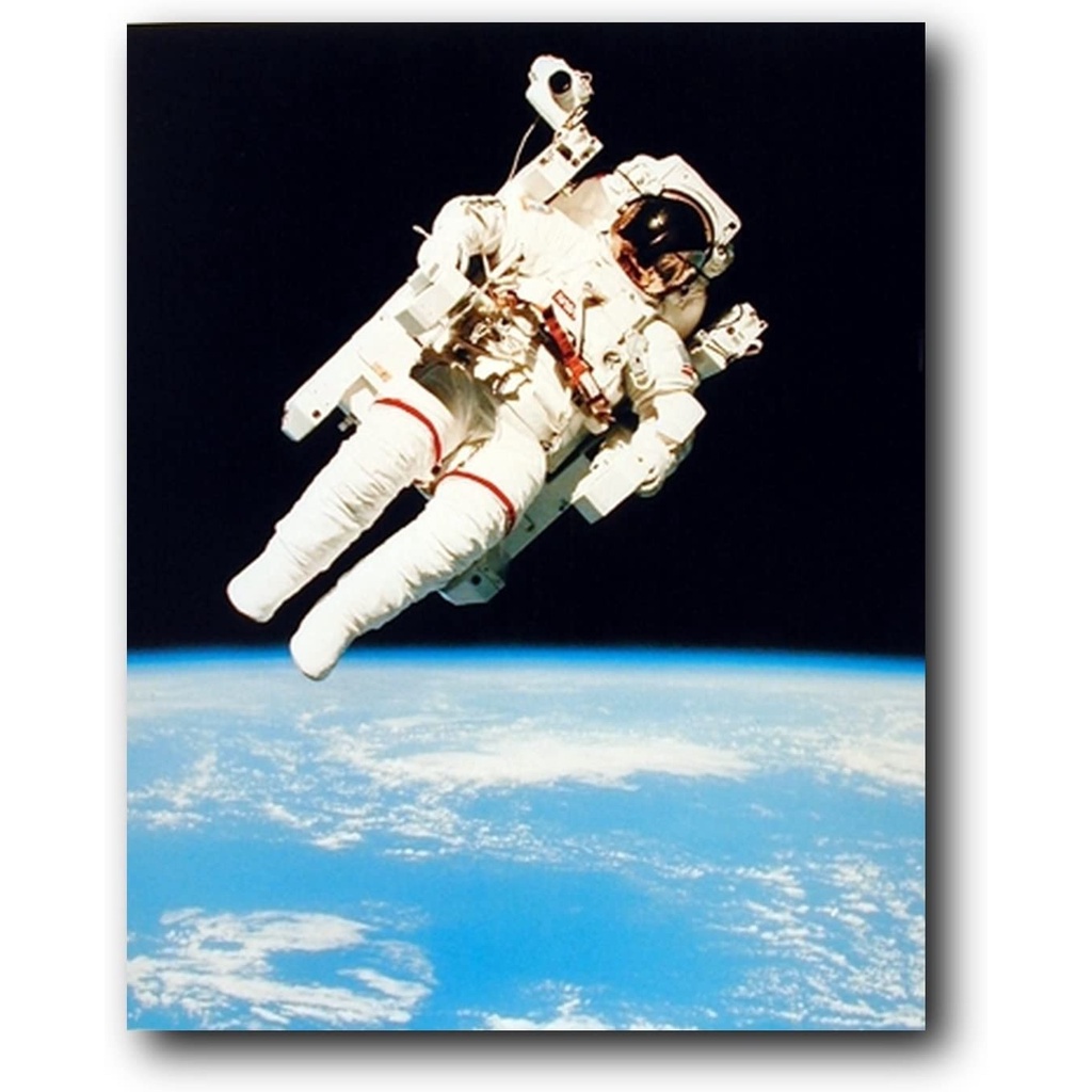 NASA Astronaut in Space Educational and Motivational Wall Decor Art ...