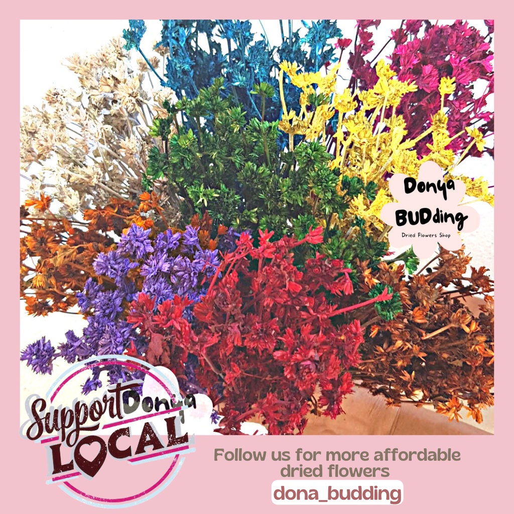 Dried Flowerettes | Dried Flowers | Donya BUDding | Shopee Philippines