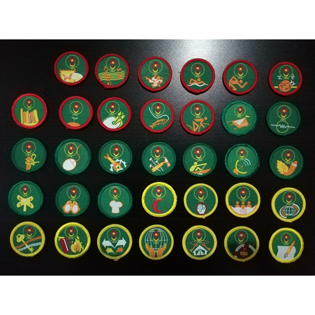 JUNIOR SCOUT PROFICIENCY BADGES FULL SET 34PCS CURRENT VERSION | Shopee ...