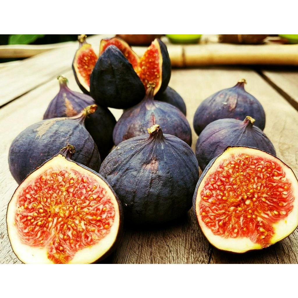 20pcs Seeds Black Turkish Bursa Cowardly, Black Bursa Fig Seeds, Very ...