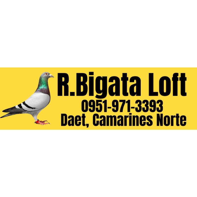R.Bigata Loft design | Shopee Philippines