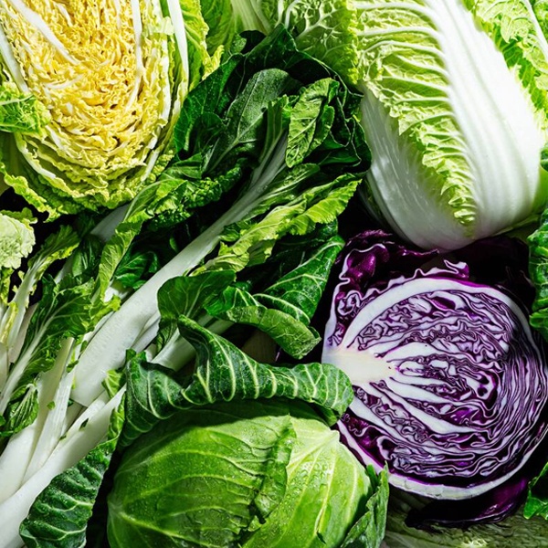 Mix Cabbage Seeds - Mixed Color Cabbage Seeds - Vegetable Seeds ...